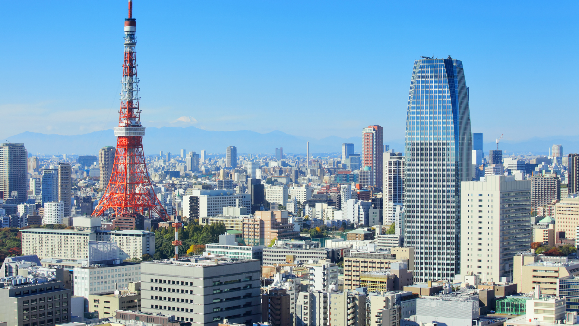 Tokyo on a Budget — Venture Cost